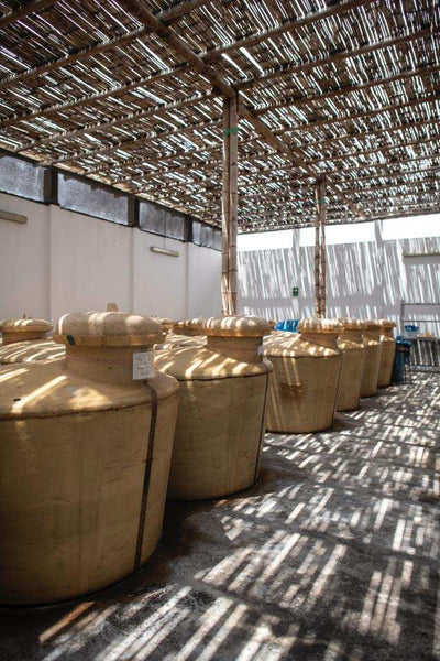 Peruvian Black Dried Olives (Herbed, Pitted) 5 oz – Natural Zing